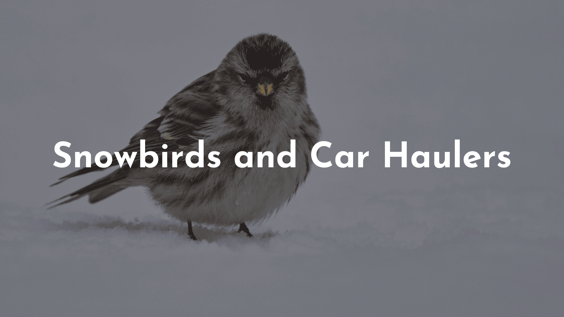 Car Hauling: Snowbird Season is almost upon us! - Ninja Dispatch